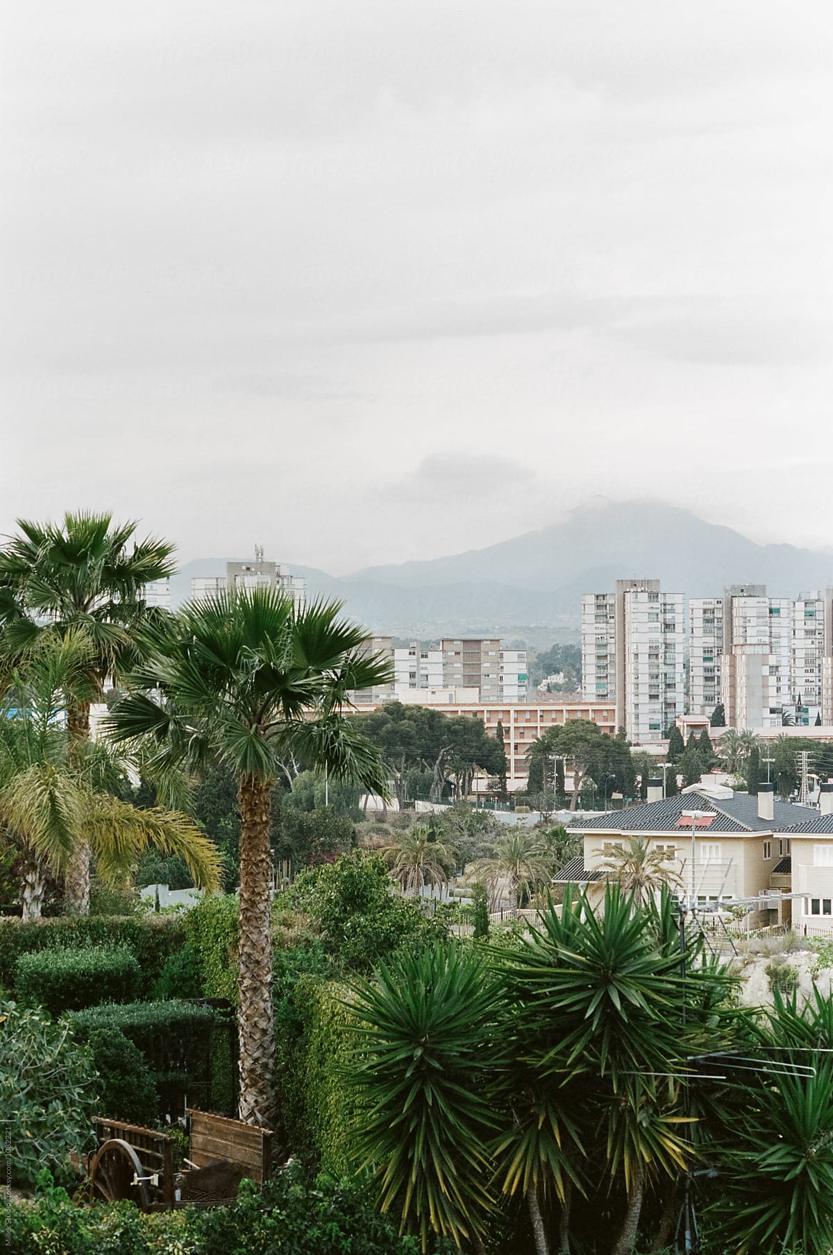 "Park And Cityscape" by Stocksy Contributor "Milles Team" - Stocksy