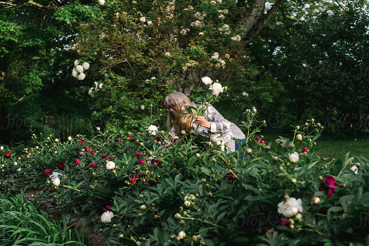 "Woman Picking Peonies" by Stocksy Contributor "Lea Jones" - Stocksy