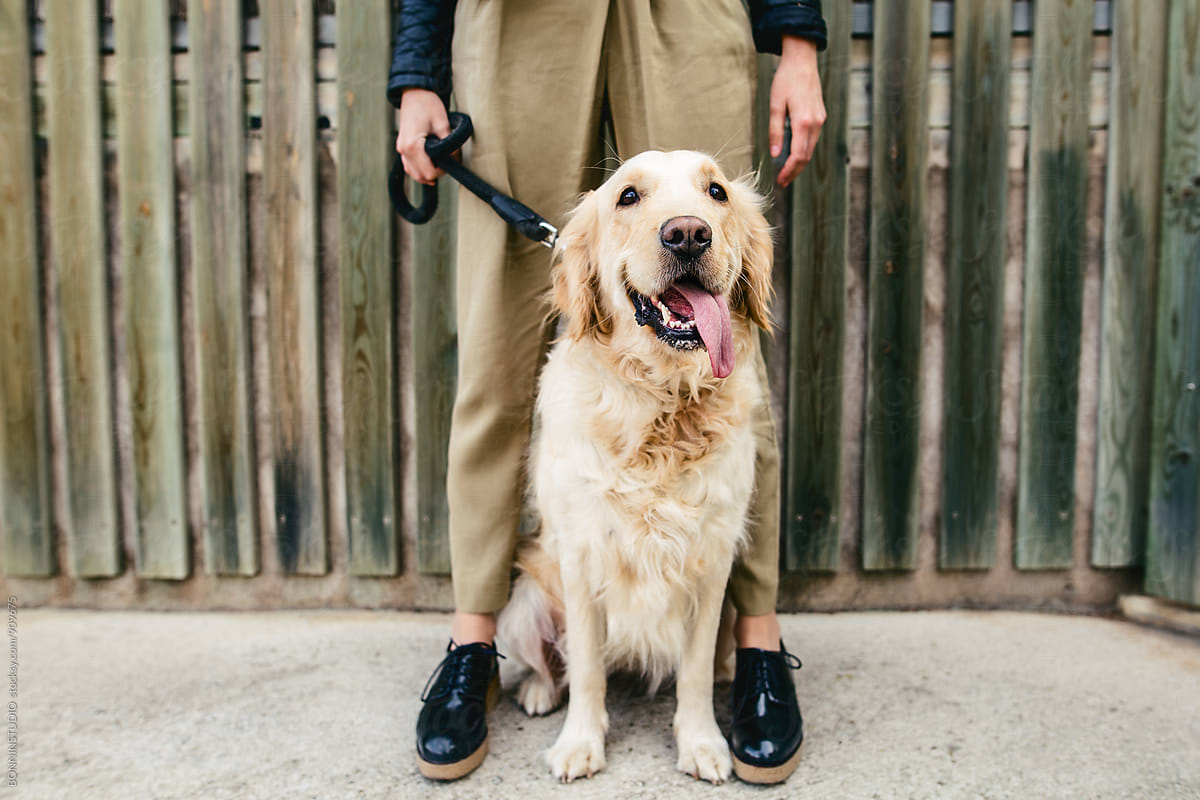 "Closeup Portrait Of A Woman With Her Dog On Leash." by Stocksy ...