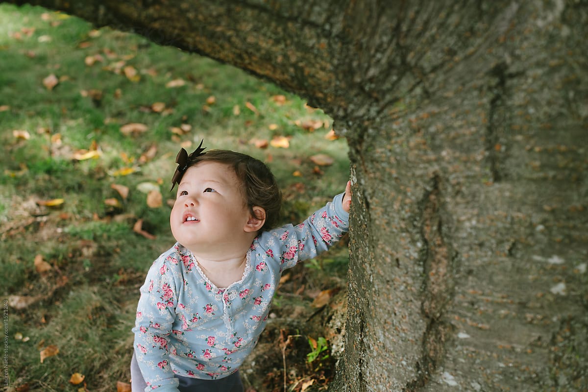 "Baby Holding Tree And Looking Up At Leaves" by Stocksy Contributor ...