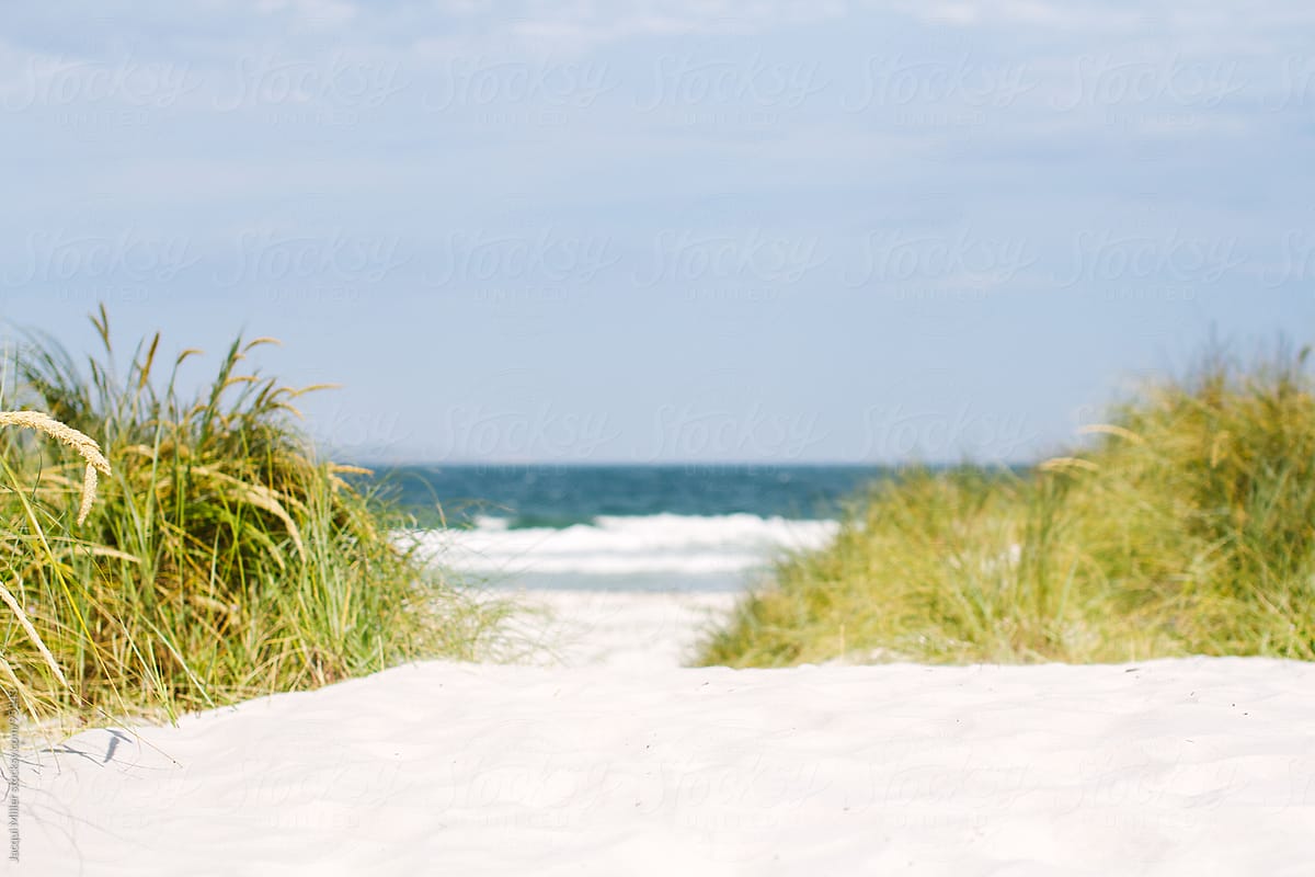 "Beach Track" by Stocksy Contributor "Jacqui Miller" - Stocksy