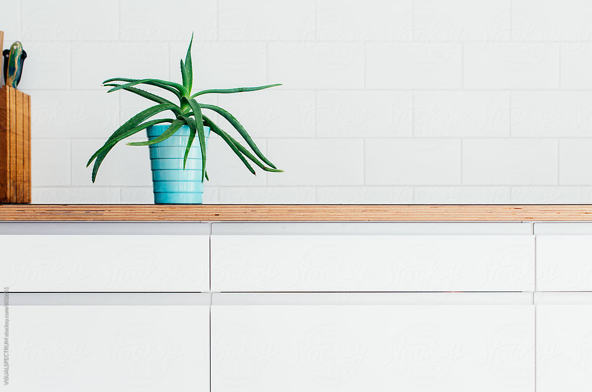 "Aloe Vera Plant In Beautiful Turquoise Pot Standing In Modern ...