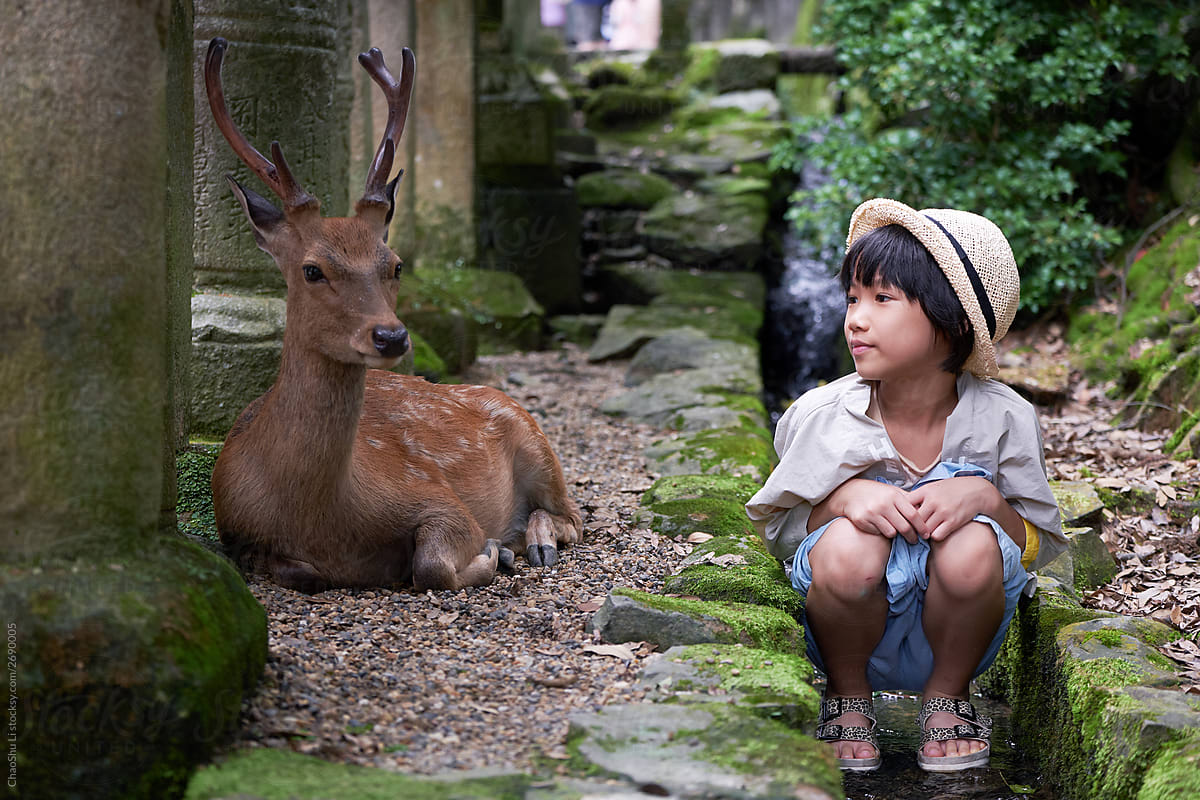 "Asian Little Girl With Sika Deer, In Nara, Japan" by Stocksy ...