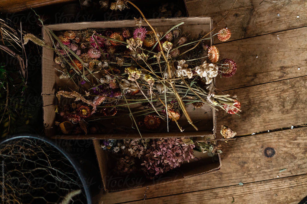 "Dried Flowers On The Floor Of A Barn" by Stocksy Contributor "Lea ...
