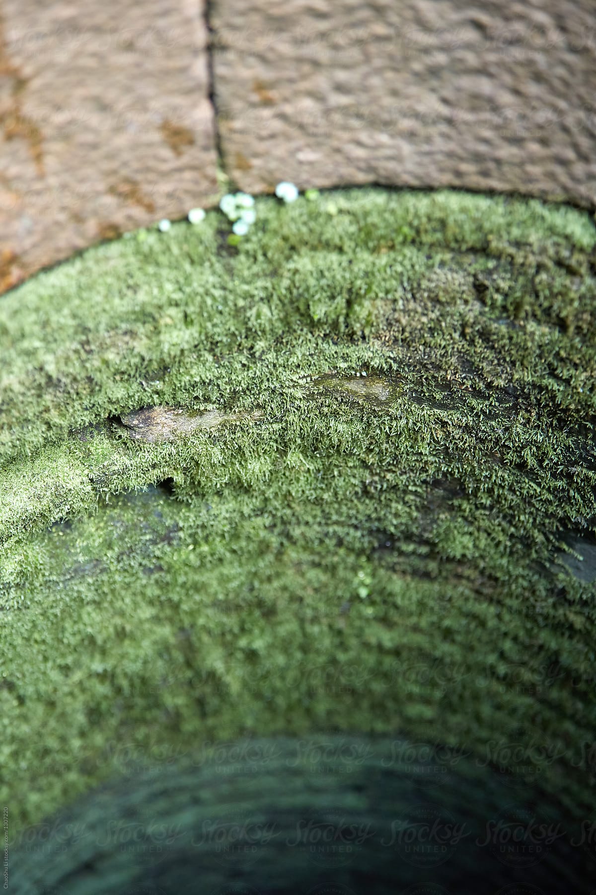 "Old Water Wellhead Close-up" by Stocksy Contributor "ChaoShu Li" - Stocksy