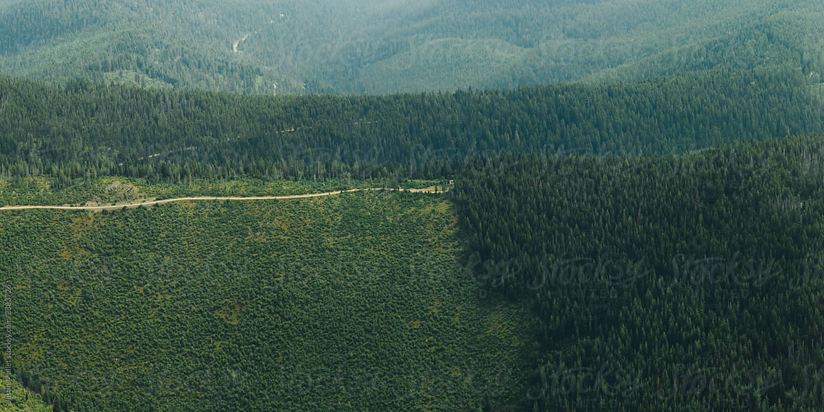 "Logging Road In The Mountains" by Stocksy Contributor "Justin Mullet ...