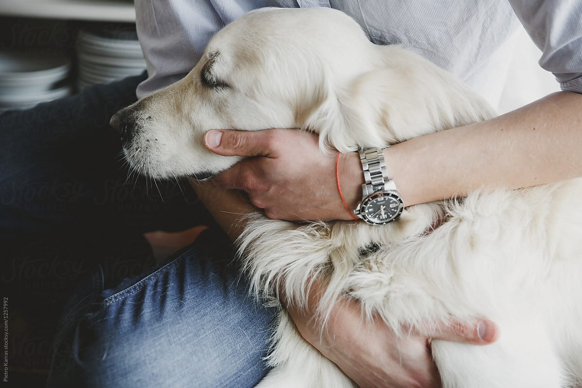 "Crop Male Hugging Dog" by Stocksy Contributor "Pietro Karras" - Stocksy