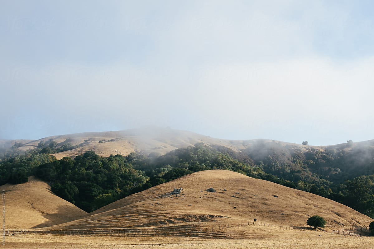 "Rolling California Hills" by Stocksy Contributor "Christian Gideon ...