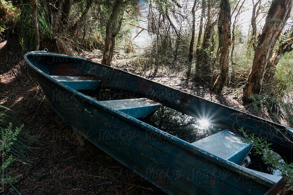 "Boat In The Bush" by Stocksy Contributor "Gary Radler Photography ...
