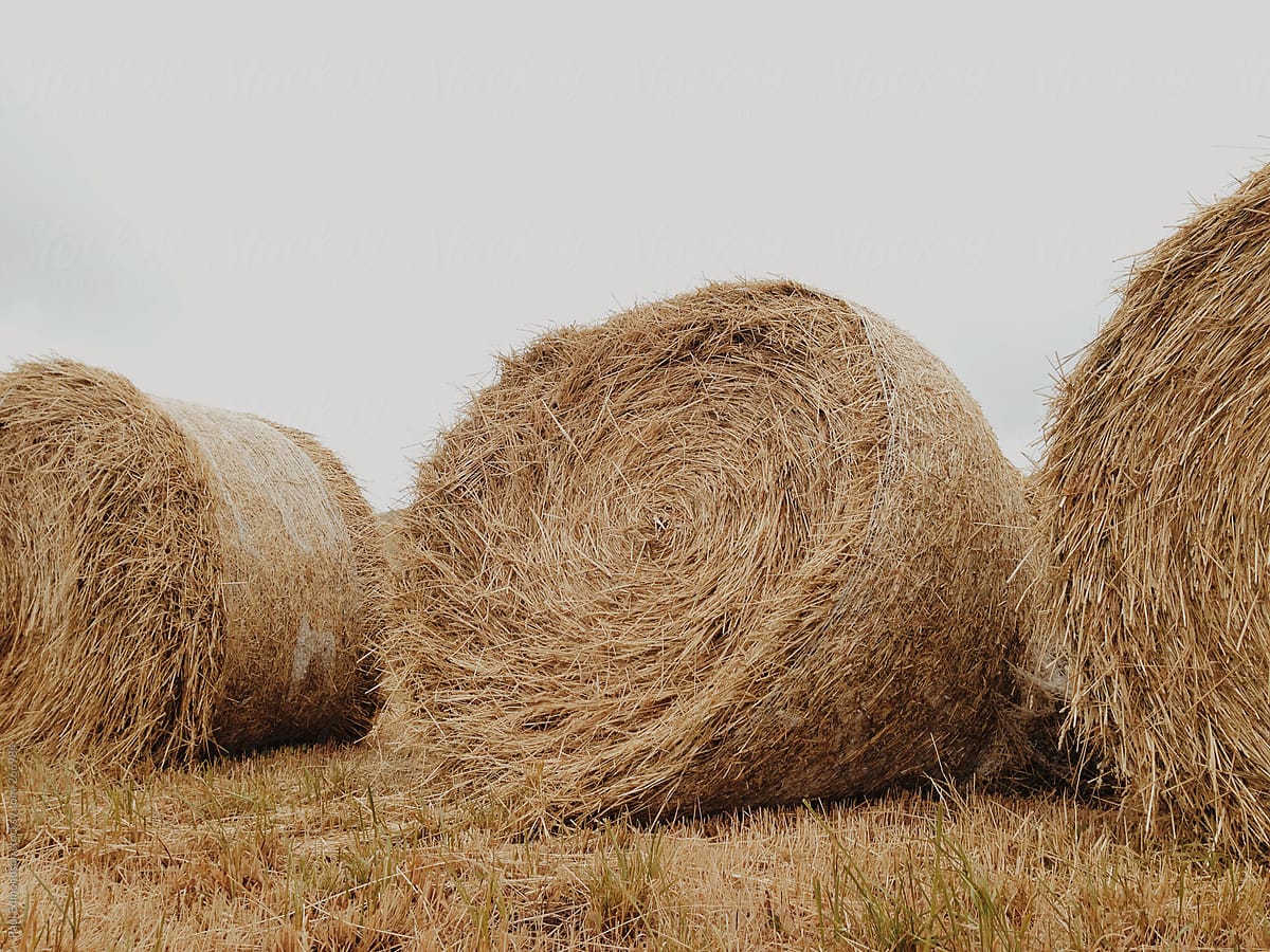 "Hay Bales, Palouse, Washington" by Stocksy Contributor "Rialto Images ...