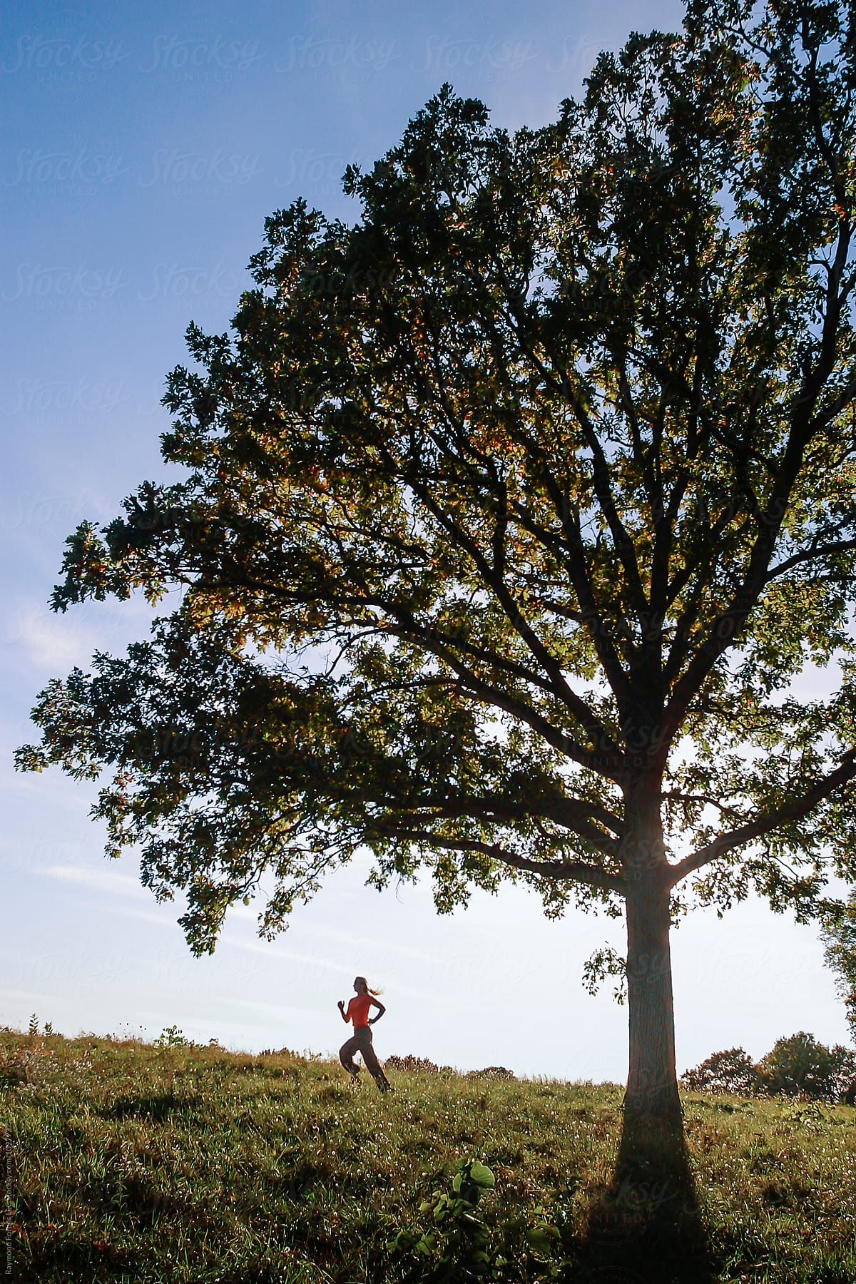 "Female Athlete Running Through Park" by Stocksy Contributor "Raymond ...