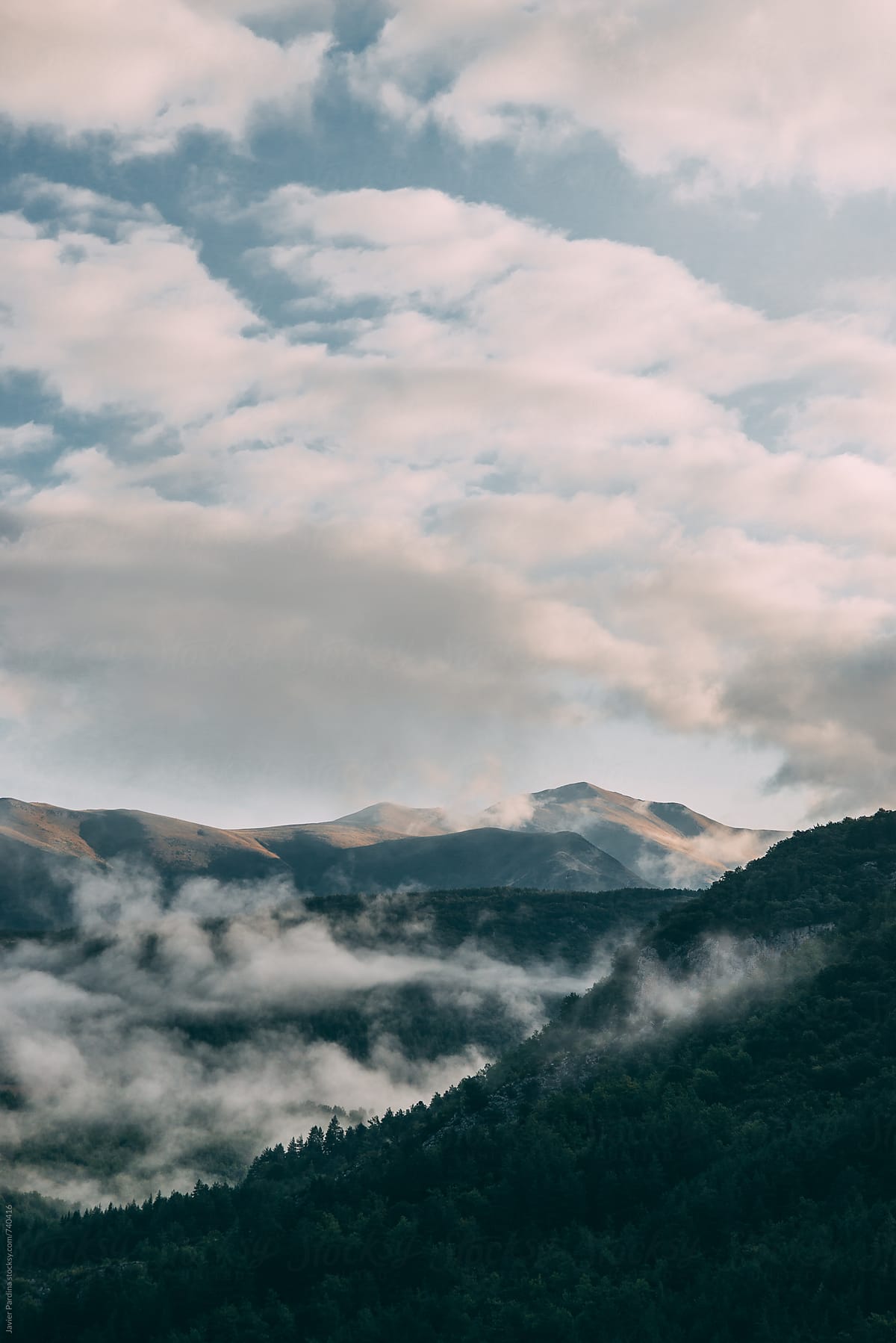 "Dark Landscape" by Stocksy Contributor "Pardina Studio x Katya D ...