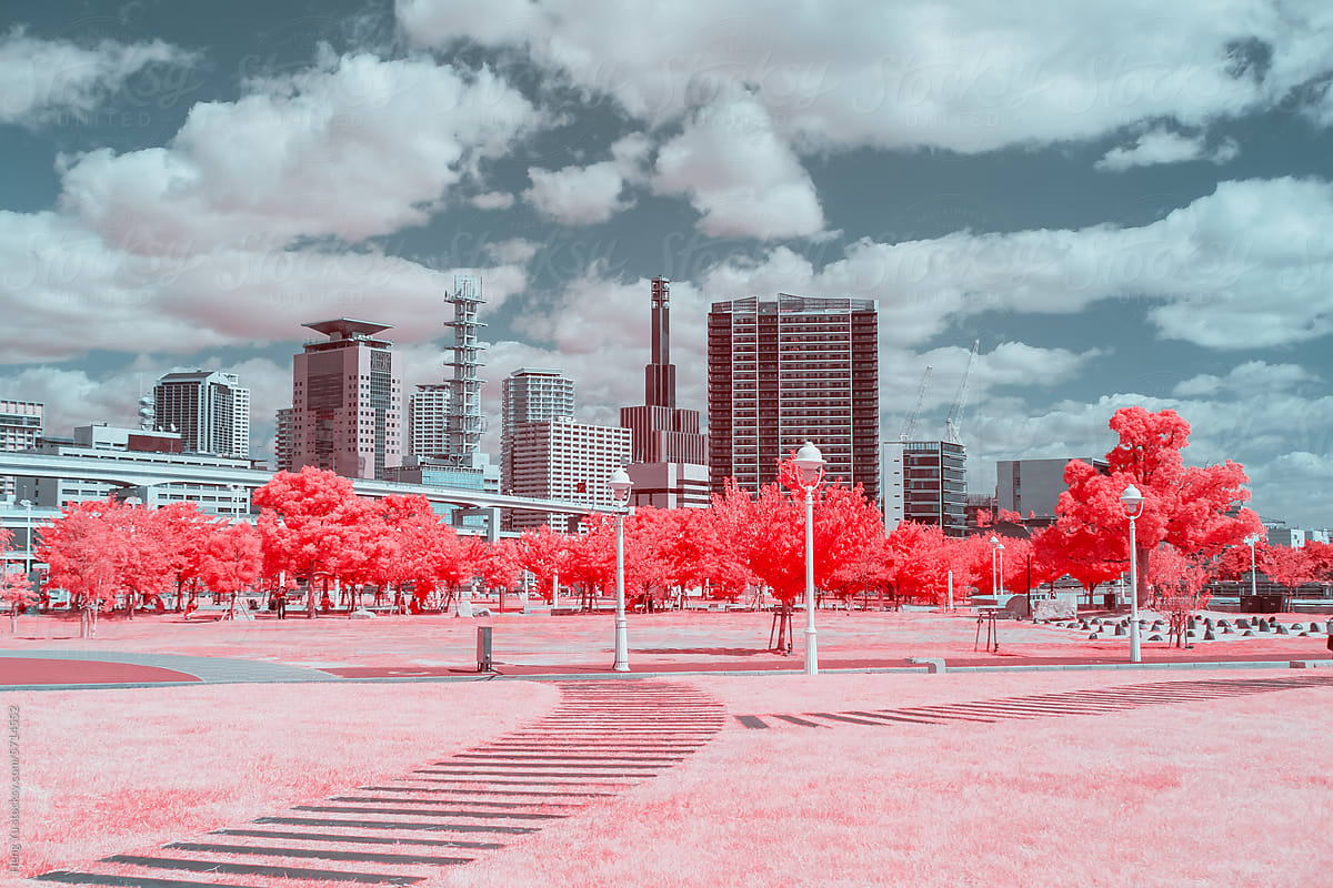 "Infrared View Of Modern City Park" by Stocksy Contributor "Heng Yu ...