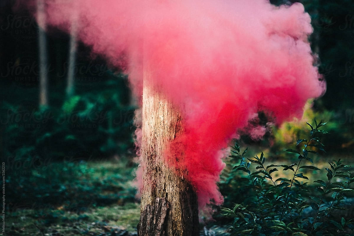 "Pink Smoke From Behind The Tree" by Stocksy Contributor "Melissa Milis ...