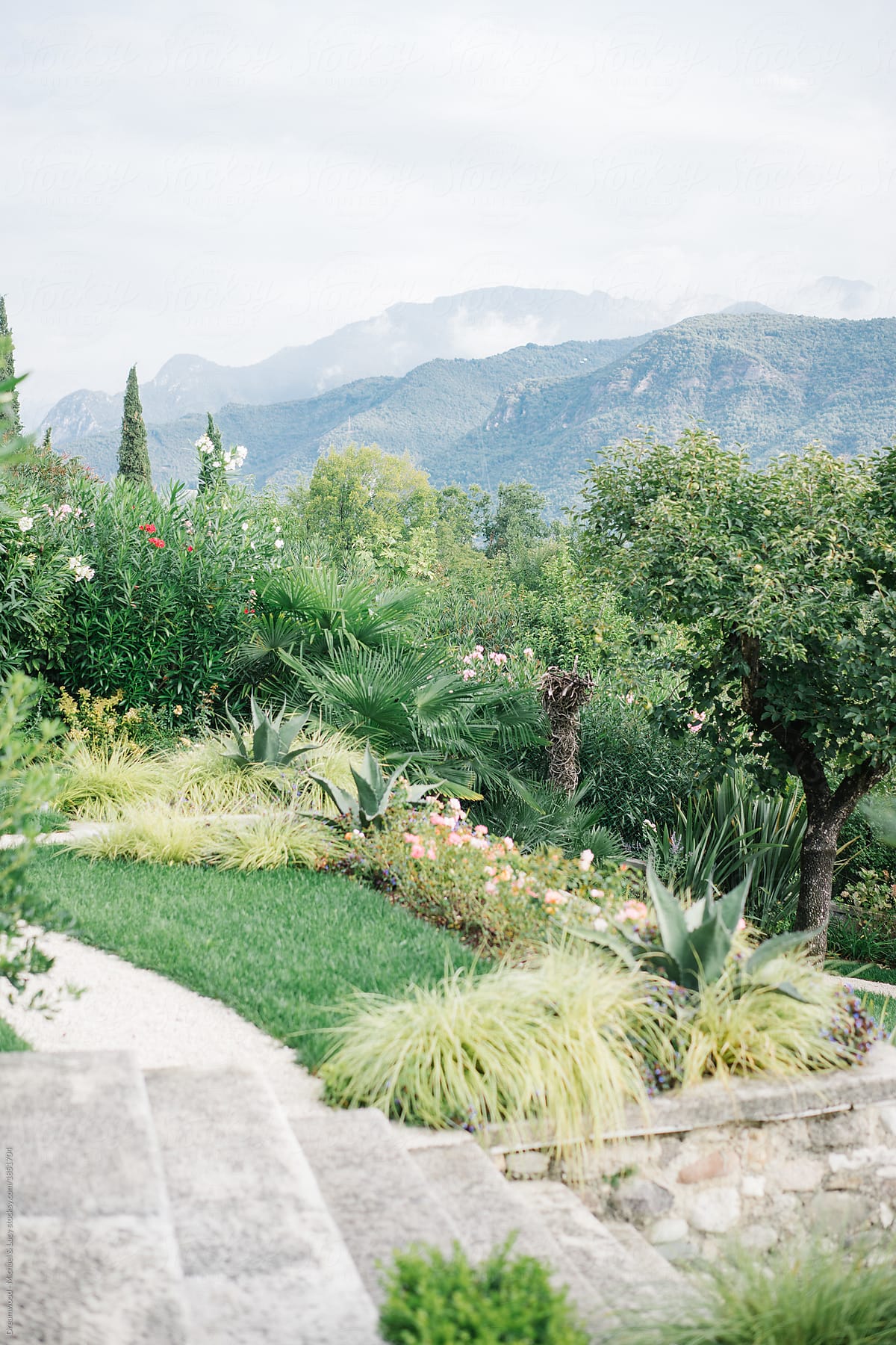 "Beautiful View Of Green Terrace And Mountains" by Stocksy Contributor ...