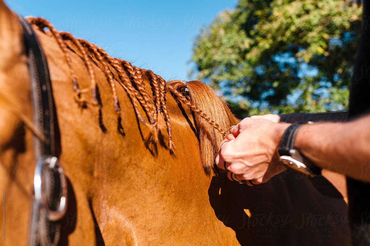  Horse Rider Giving Animal Care By Stocksy Contributor Manu Prats
