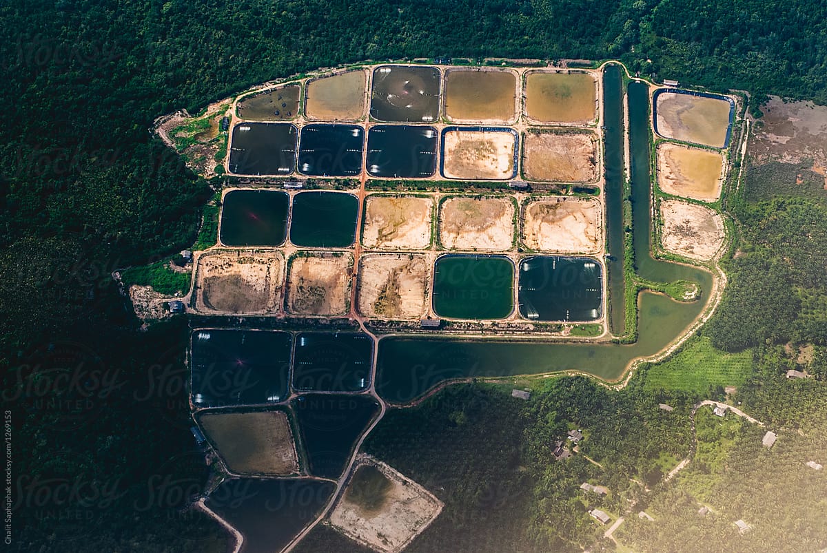 "Thailand From Above" by Stocksy Contributor "Chalit Saphaphak" - Stocksy