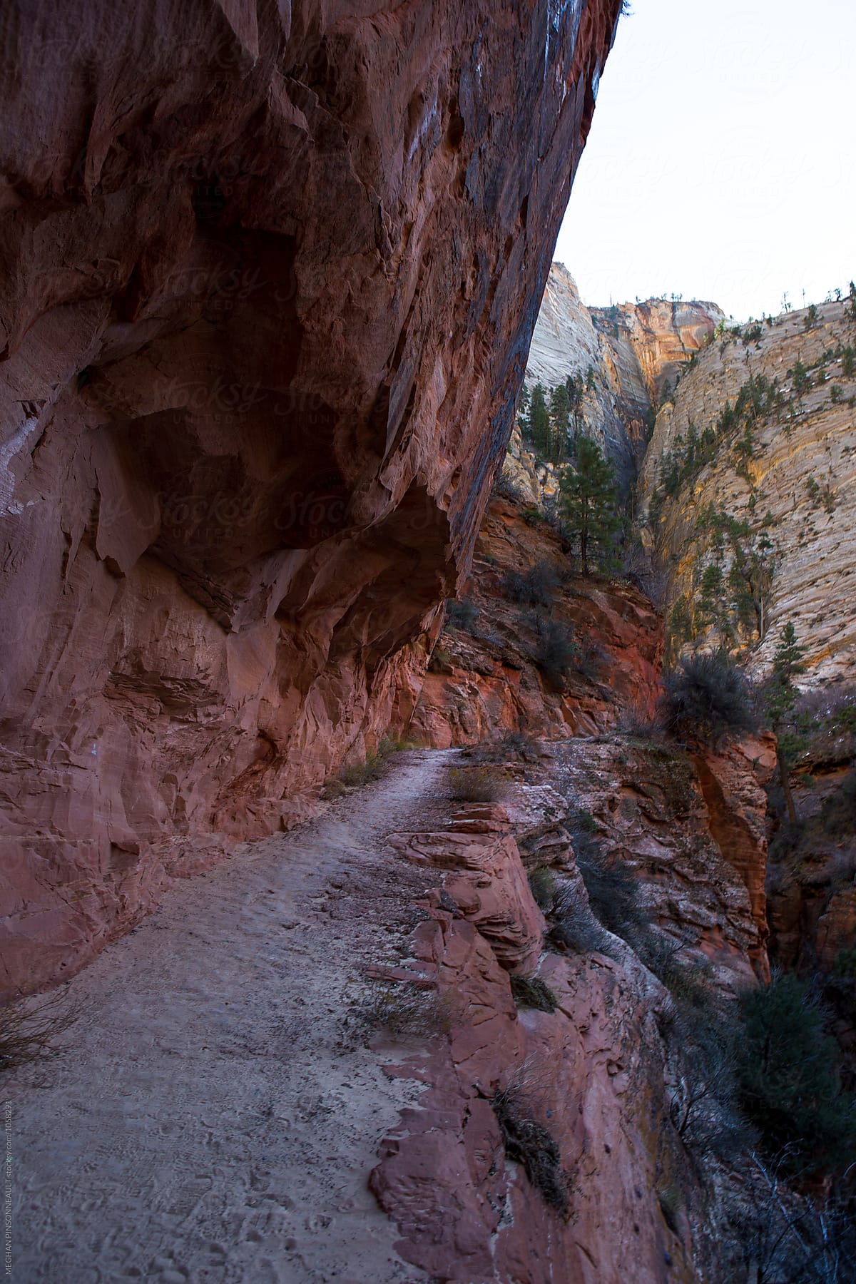 "Hiking Trail With Red Rock Overhang" by Stocksy Contributor "MEGHAN ...