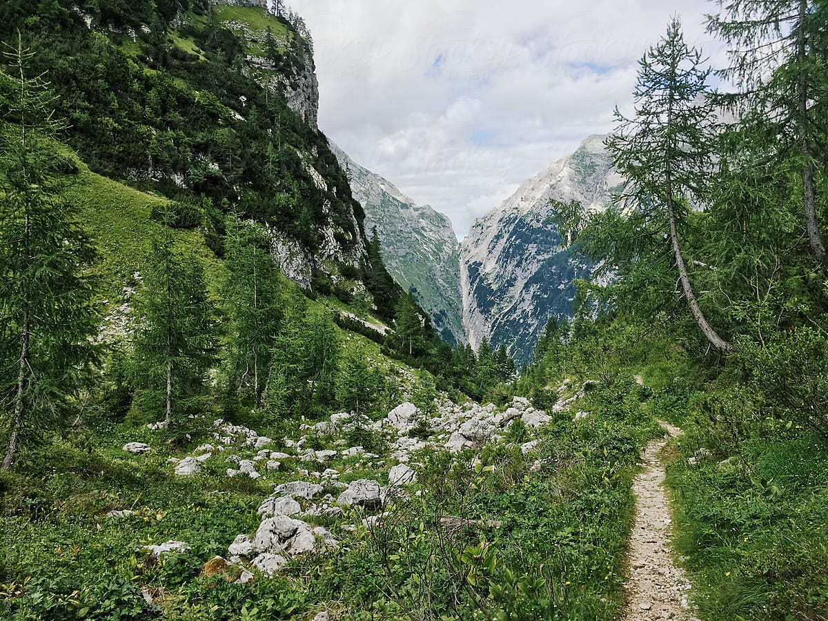 "Path Through The Mountains" by Stocksy Contributor "Bor Cvetko" - Stocksy