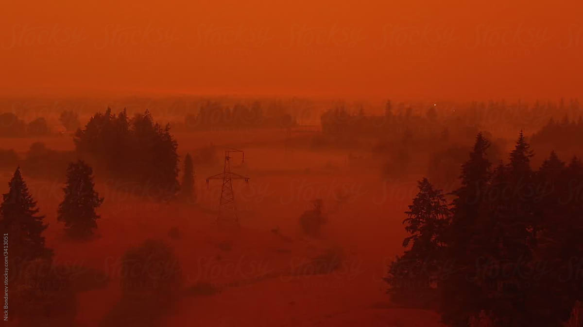 "Dark Forest With Smoke And Red Light During Wildfire" by Stocksy ...