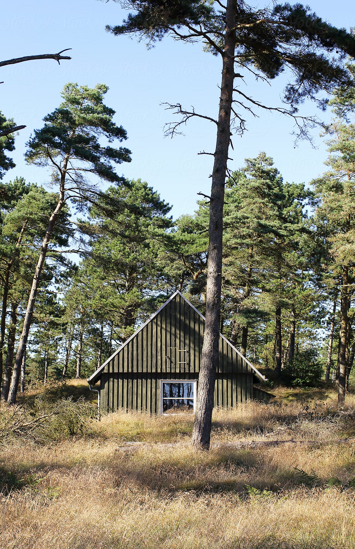 "Simple Cabin In The Woods" by Stocksy Contributor "Marcel" - Stocksy