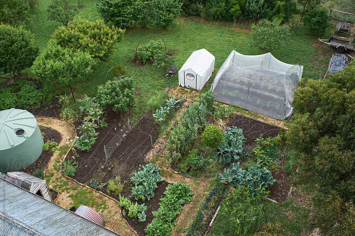 Large Vegetable Garden Plans Vegetable Garden Planning - Harvest To
