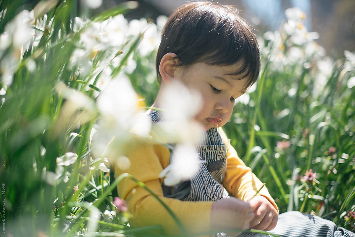 "Toddler Boy Looking At Flowers" by Stocksy Contributor "Lauren Lee ...