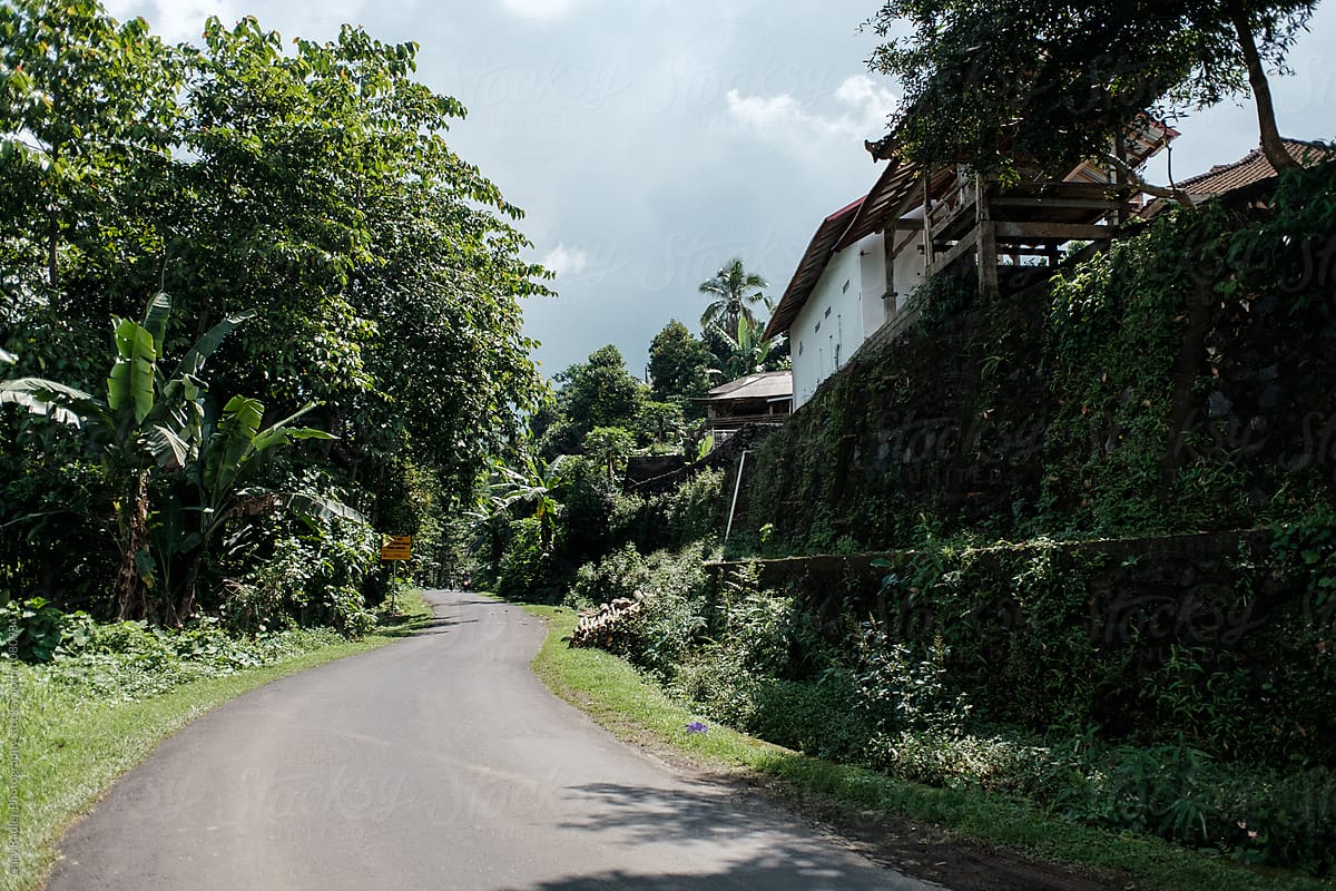 "Country Road In Bali" by Stocksy Contributor "Gary Radler Photography ...