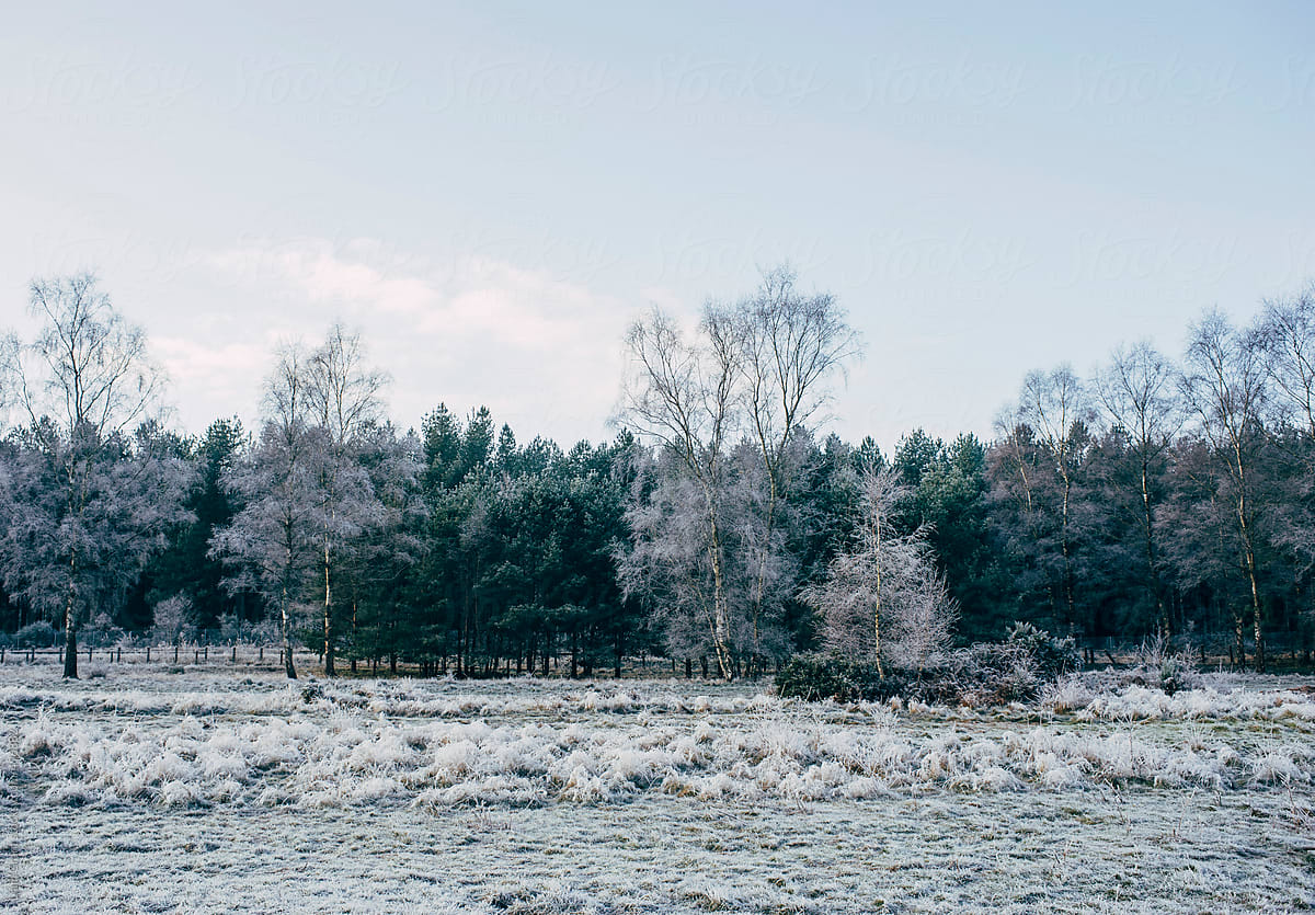 "Frost Covered Farmland And Trees." by Stocksy Contributor "Liam Grant ...