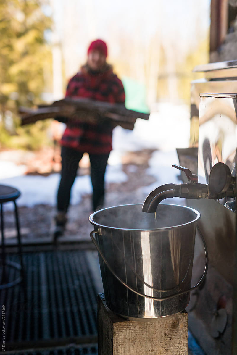 "Fresh Healthy Natural Maple Syrup Drips Into Bucket" by Stocksy ...