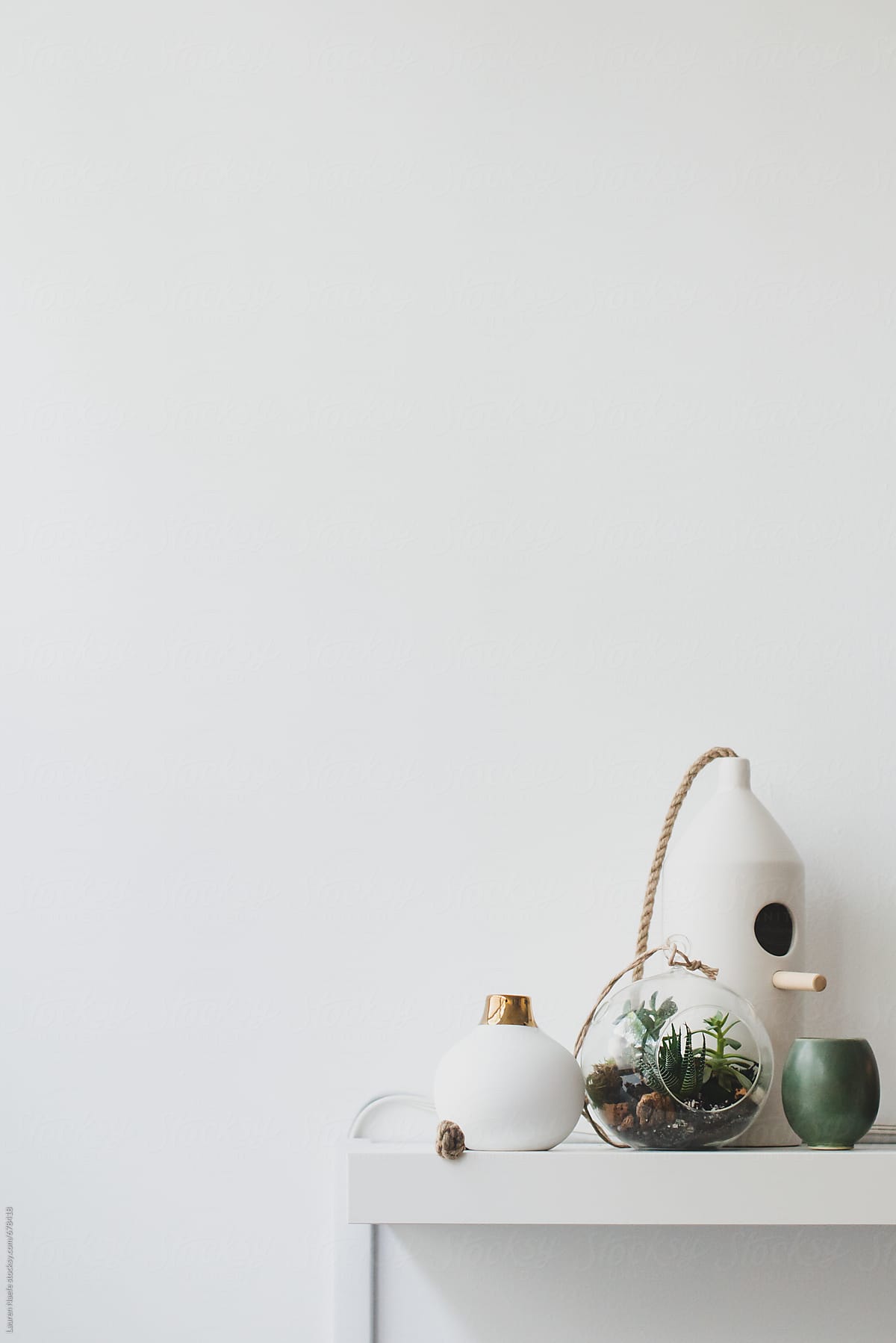 "Shelf With Terrarium" by Stocksy Contributor "Lauren Lee" - Stocksy