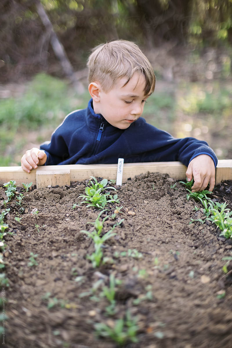 "Cute Happy Little Boy Outdoors In Backyard Garden In Spring" by ...
