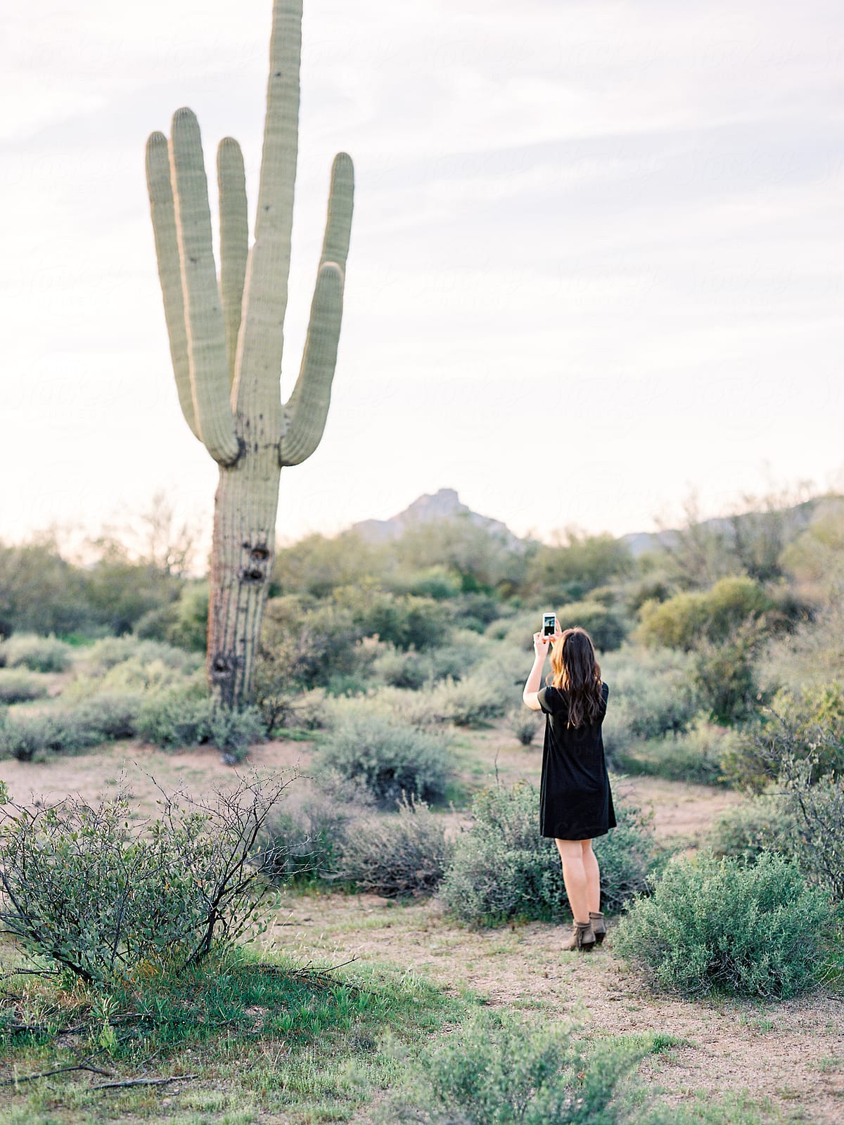 "Girl Taking Photo Of Cactus" by Stocksy Contributor "Daniel Kim ...