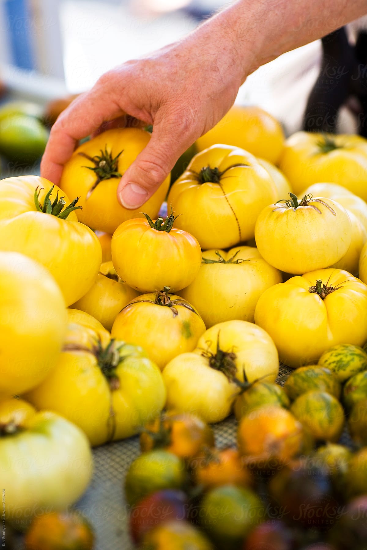 "Yellow Tomatoes" by Stocksy Contributor "Sara Remington" - Stocksy