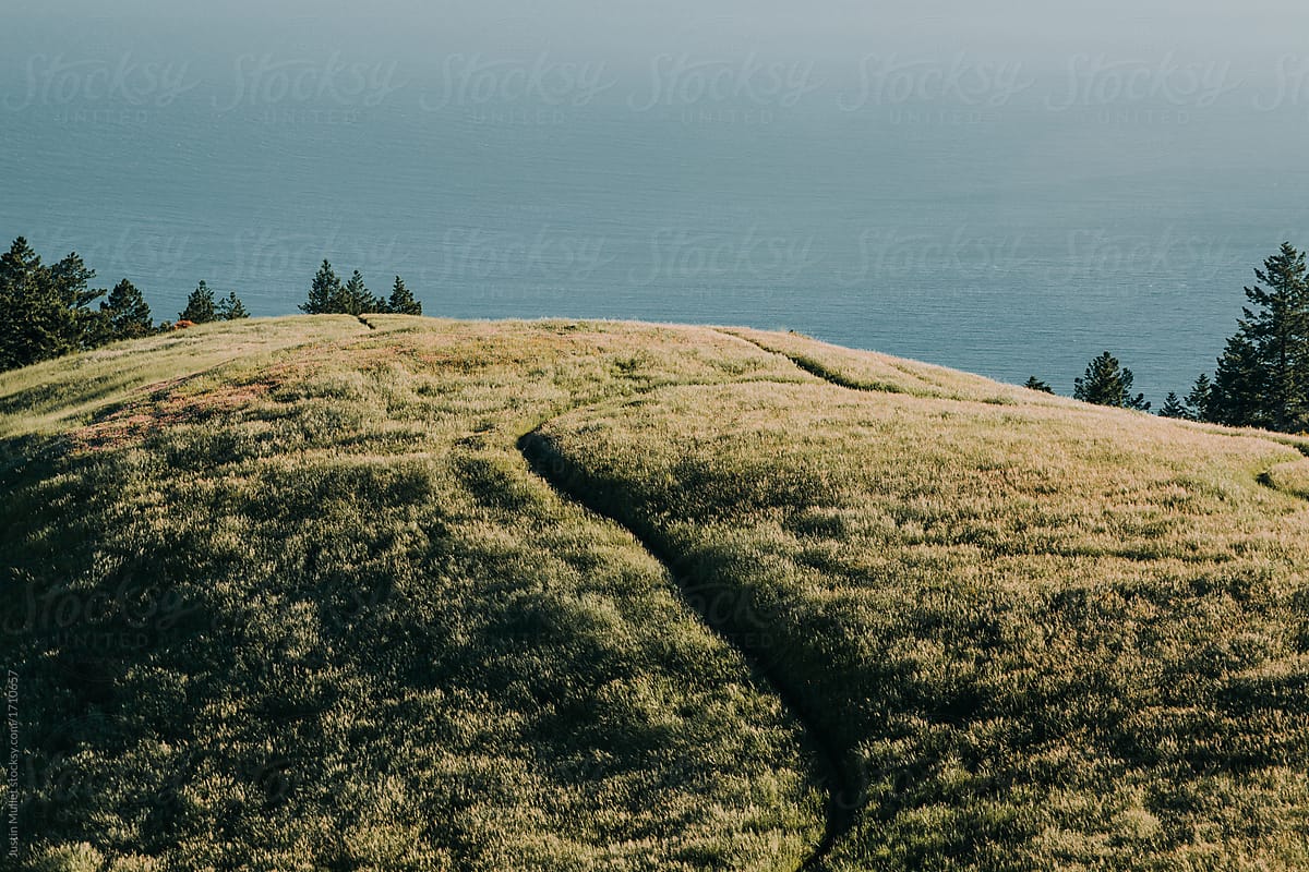 "Vibrant Scenery Of Northern California Along The Pacific Coast." by ...