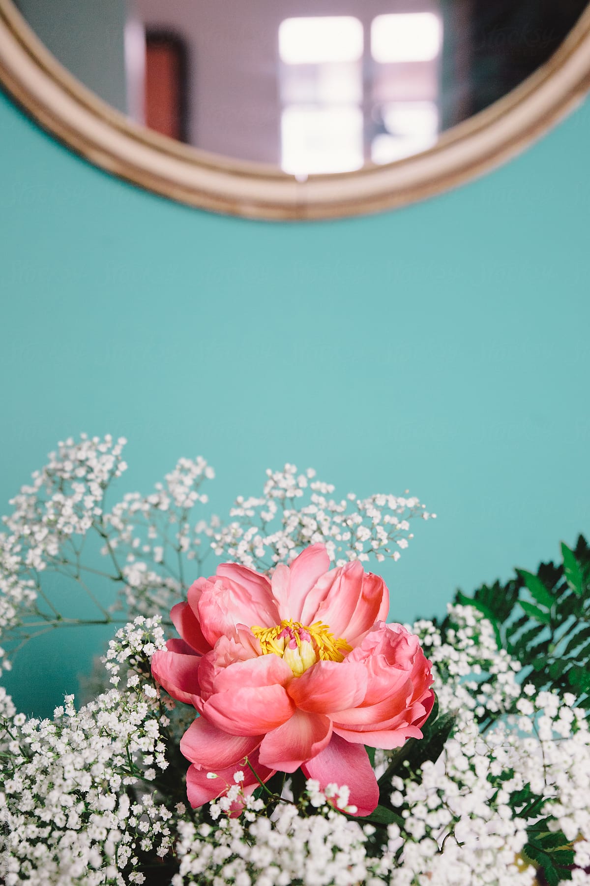  Coral Peony And Baby s breath By Stocksy Contributor Vera Lair