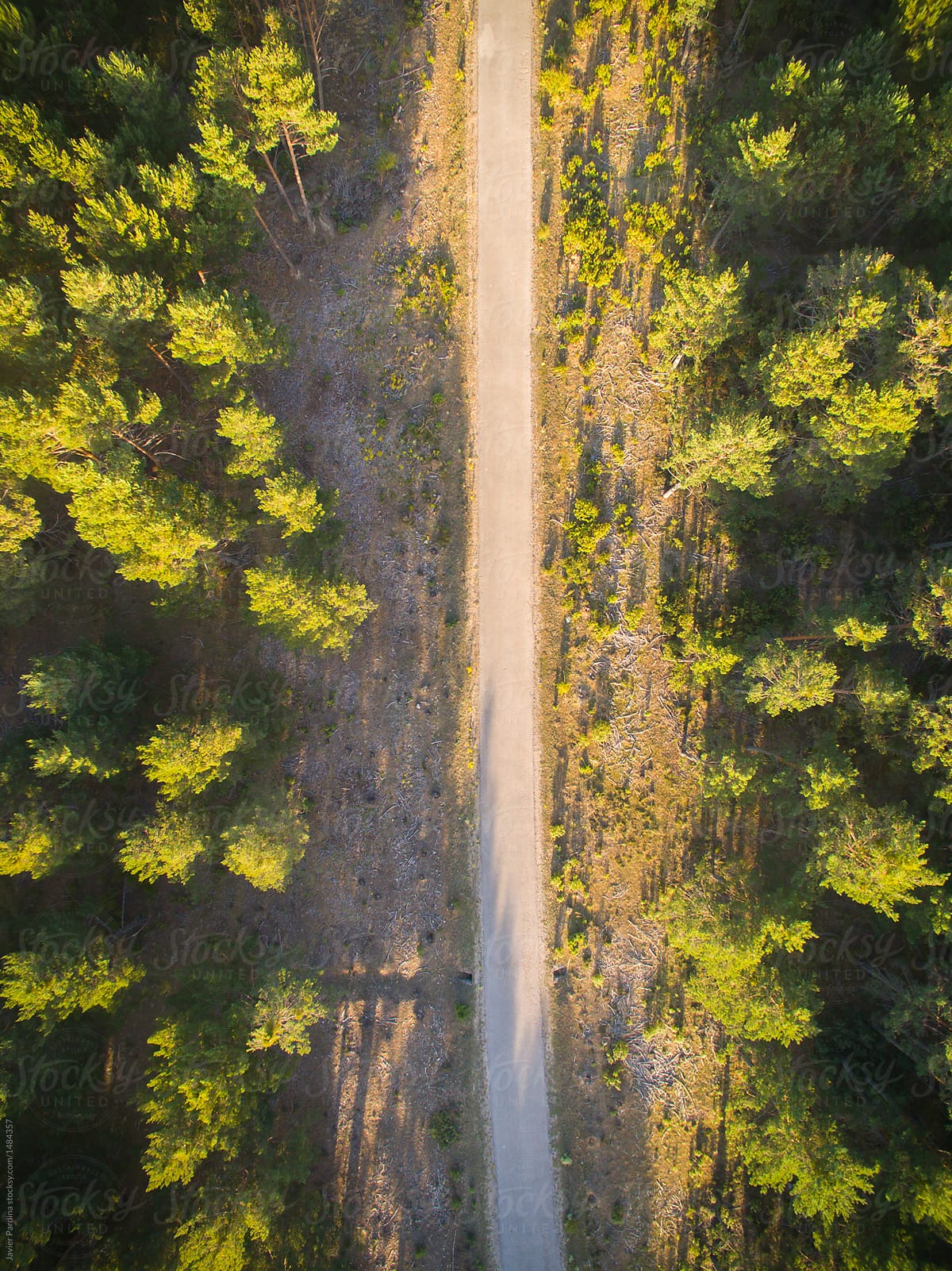"Aerial Scene Of The Green Woods Of High Mountains." by Stocksy ...