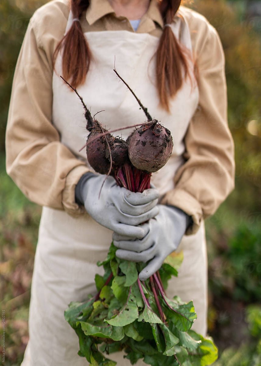"Woman Holding A Fresh Bouquet Of Beets" by Stocksy Contributor "Nikita ...