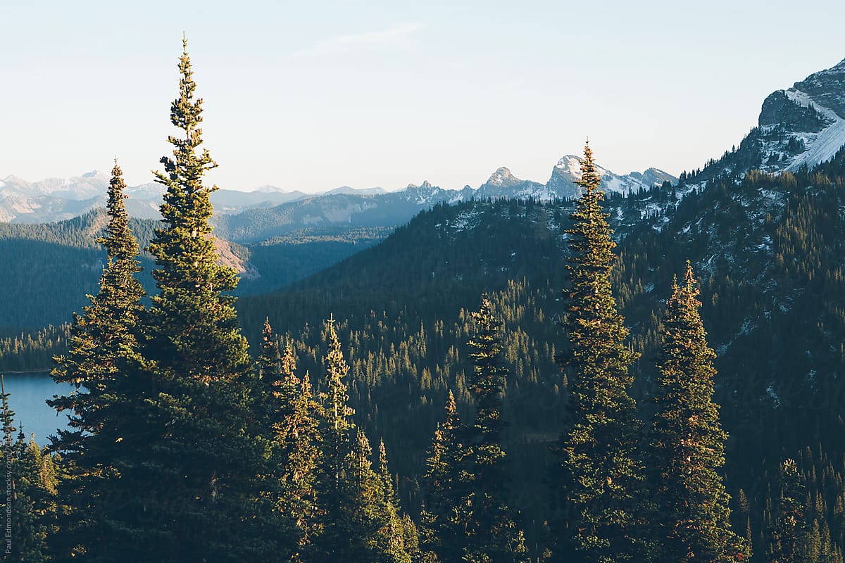 "Fresh Dusting Of Snow On Mountains And Forest At Dusk" by Stocksy ...