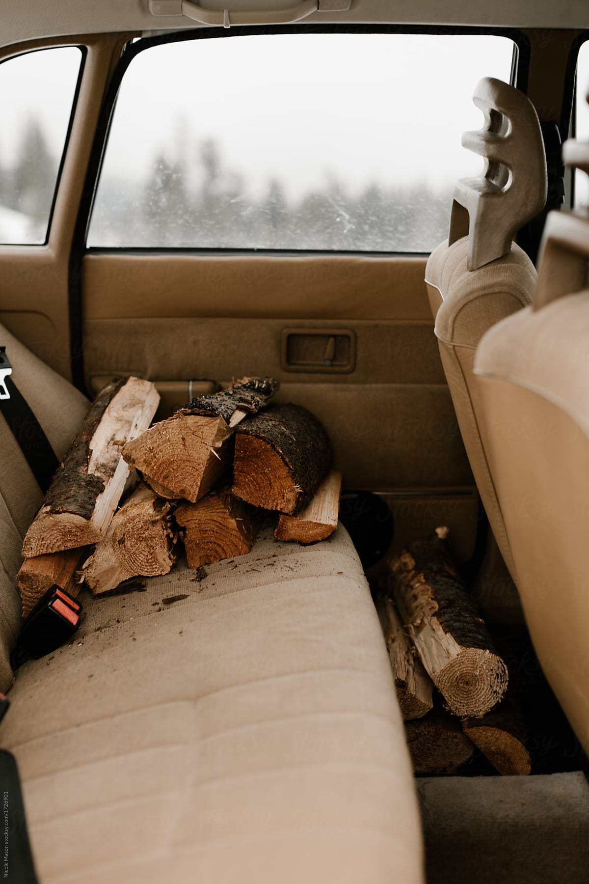 "Stack Of Firewood Logs Inside Car With Vintage Brown Interior" by ...