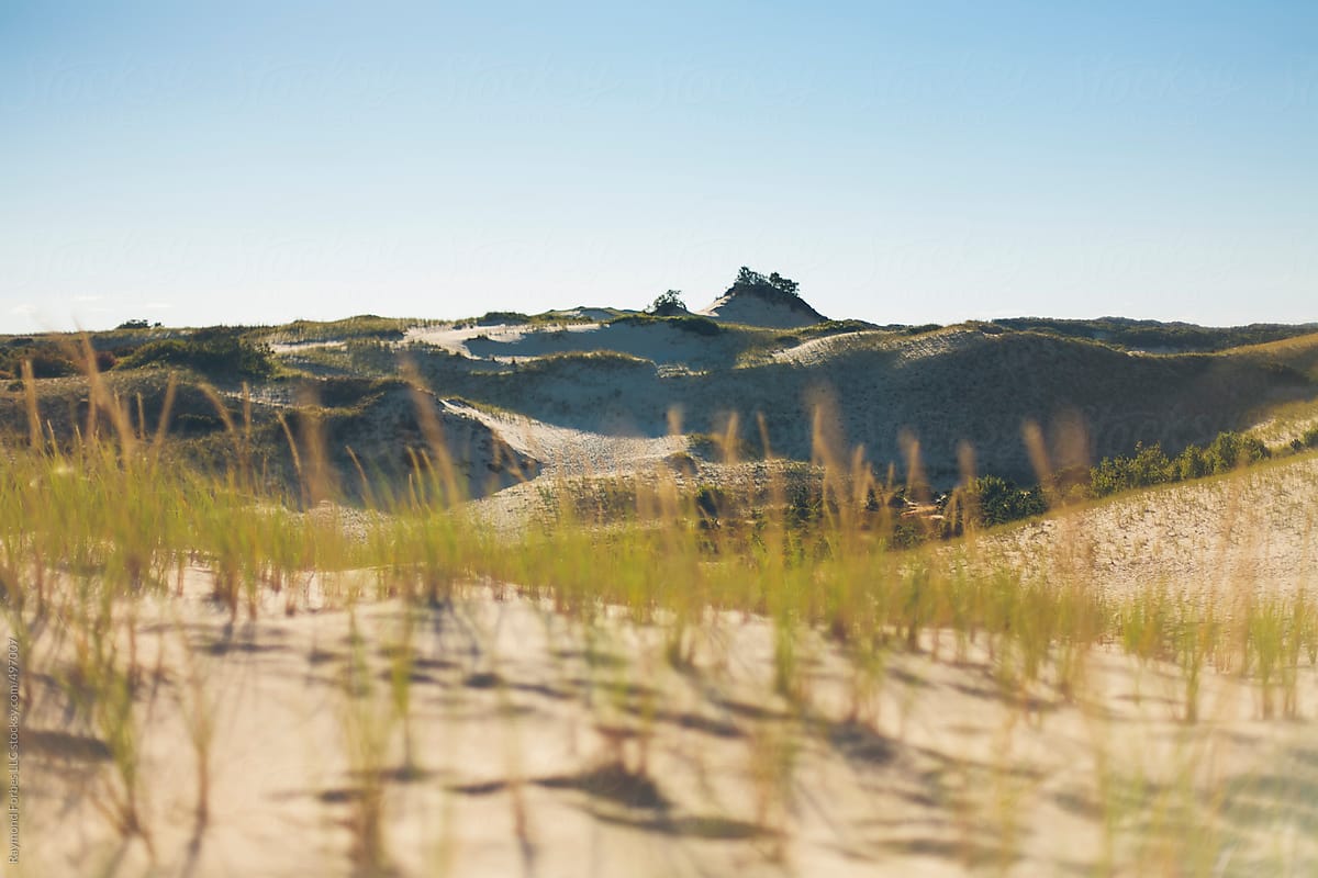"Dunes At Provincetown, Cape Cod Massachusetts" by Stocksy Contributor ...