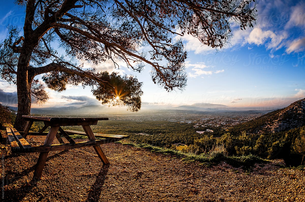 "Sunrise With Tree And Picnic Table" by Stocksy Contributor "Helen ...