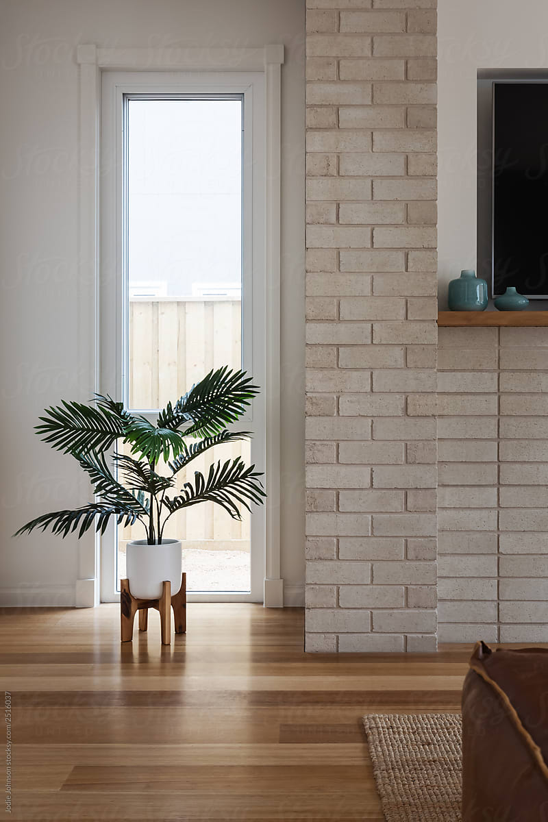 "Indoor Living Room Pot Plant" by Stocksy Contributor "Jodie Johnson ...