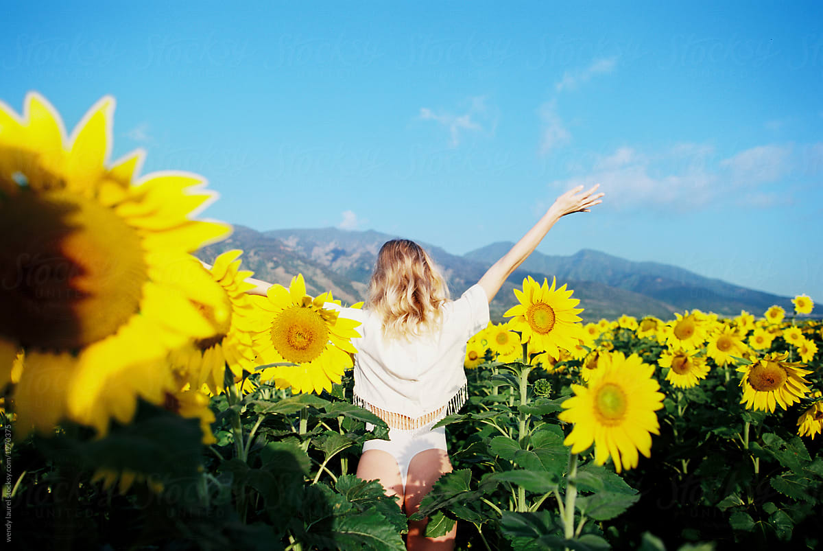 "Sunflowers Field With Joy And Happiness" by Stocksy Contributor "Wendy ...