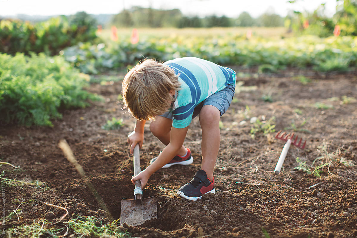 "Little Boy Digging" by Stocksy Contributor "Bryan Rupp" - Stocksy