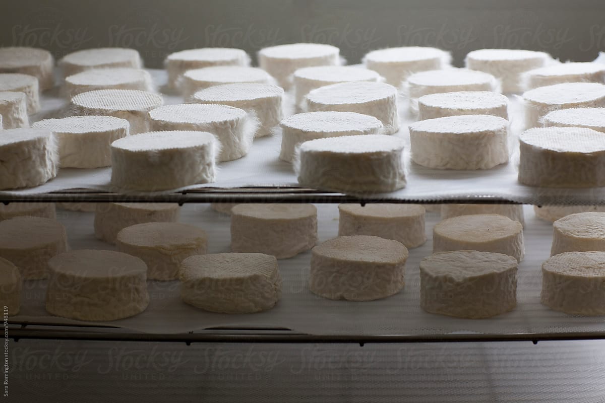 "Organic Goat Cheese In Process" by Stocksy Contributor "Sara Remington ...