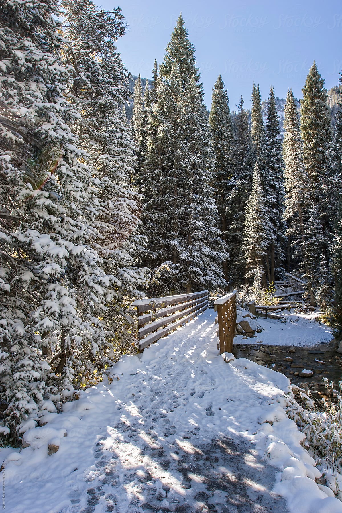"Snow Covered Foot Bridge" by Stocksy Contributor "Adam Nixon" - Stocksy
