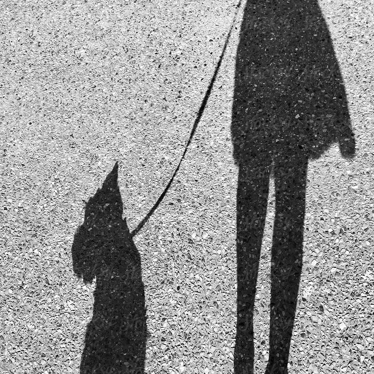 "Shadow Of A Woman Walking Her Dog" by Stocksy Contributor "Angela ...