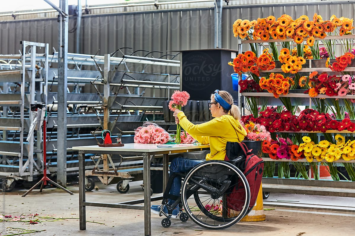 "Disabled Female Florist Arranging Gerbera Daisies At Greenhouse" by ...