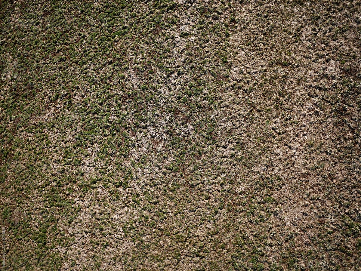 "Aerial Abstract Background" by Stocksy Contributor "Rolfo" - Stocksy
